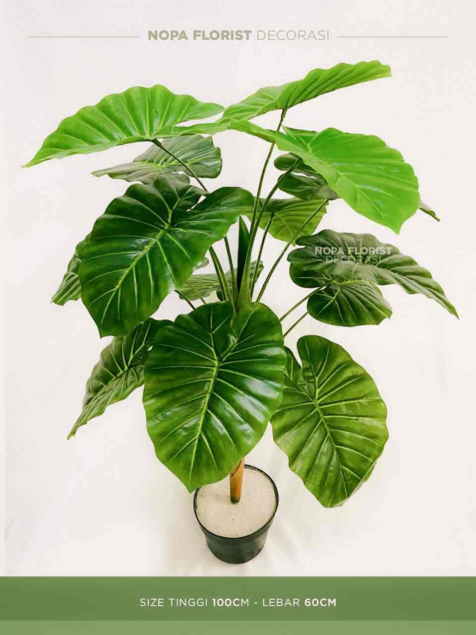 Pohon Talas Artificial - Nopa Florist